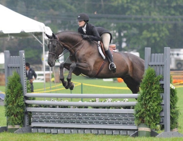 Windcrest Farms - Hebron CT